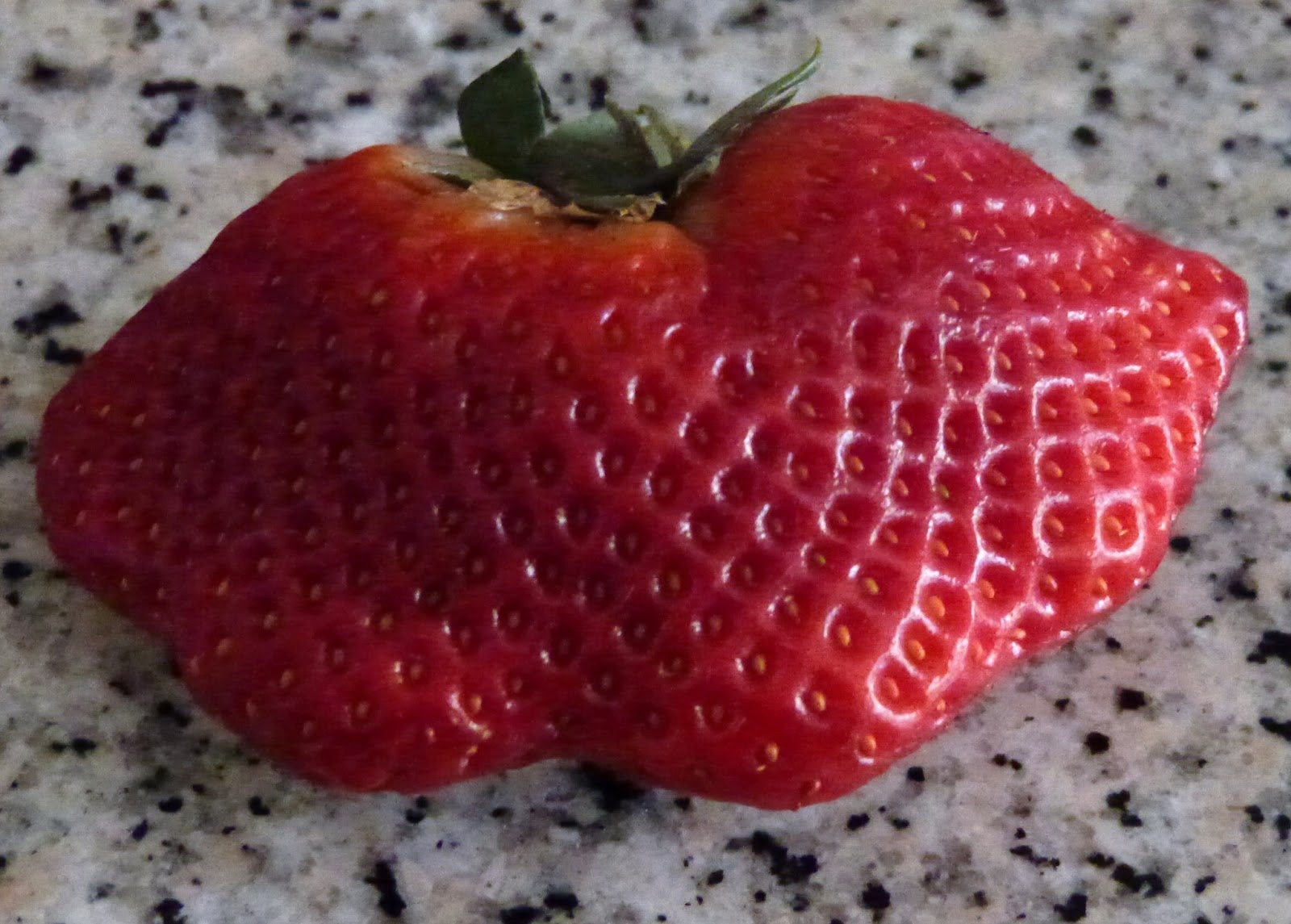 santos y cantos: LAS FRESAS