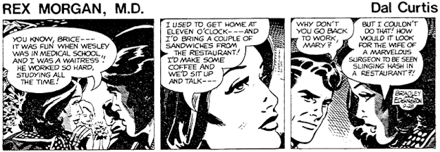 In Search of Rex Morgan, MD: 1976 Comic Strips: A Summary