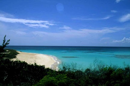 Ekosistem Pantai dan Manfaatnya - Reber