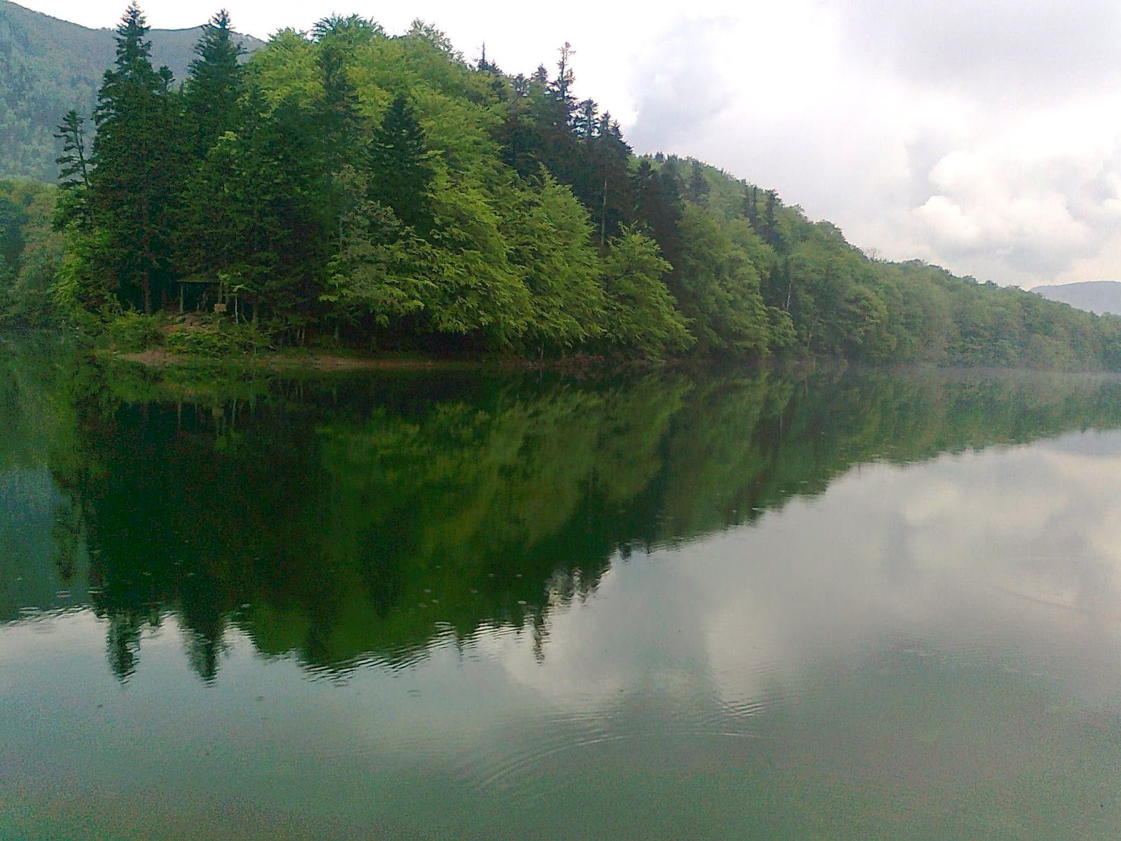 Cudesna priroda sjevera Crne Gore: DIVLJA PRIRODA - WILD NATURE