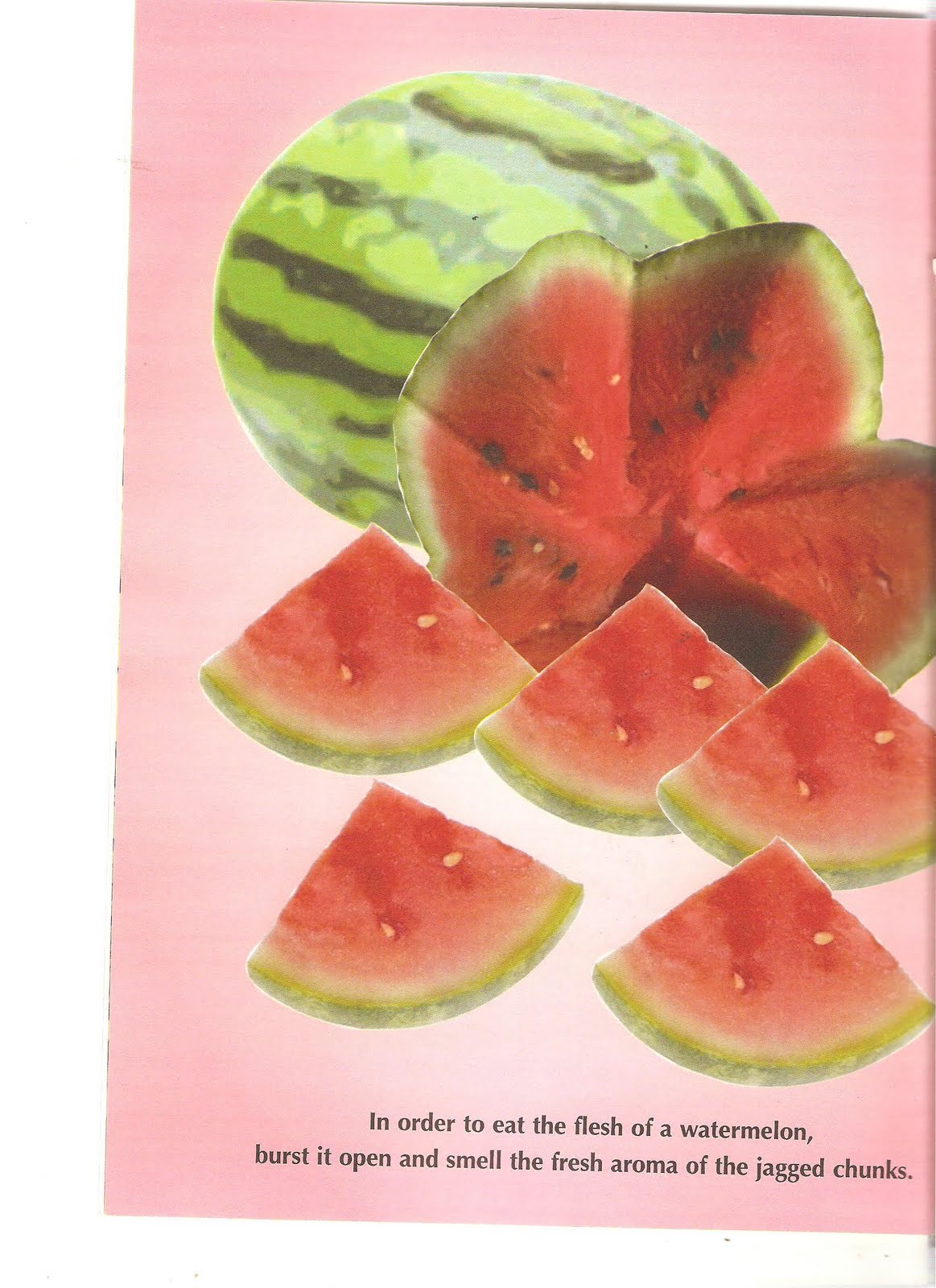 Martha's Sunsphere: November 2011