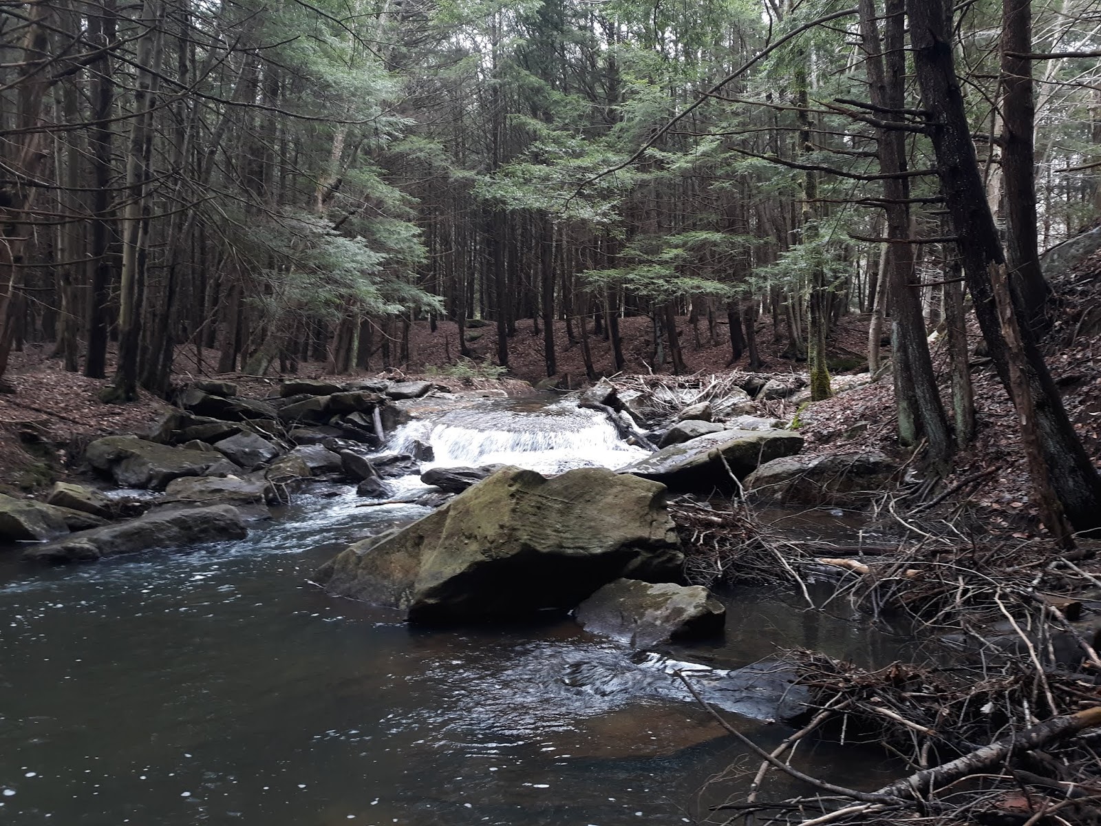 The "Getting Out There' Blog: Loleta - Lamonaville Road, Allegheny ...