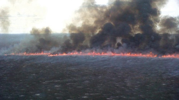 SA Weather and Disaster Observation Service: ‘Vlamme het nou tande gekry’