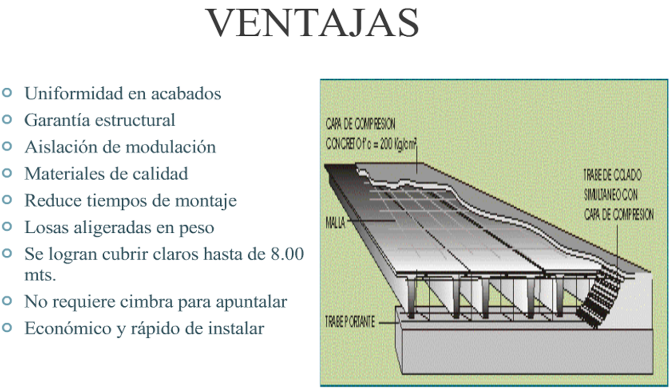 Karla Giovanny Dominguez Palacios: LOSA RETICULAR O NERVADA