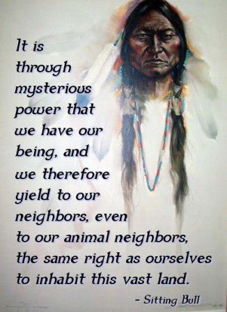 White Wolf : Oglala Lakota Pet Project: Helping Pine Ridge Indian ...