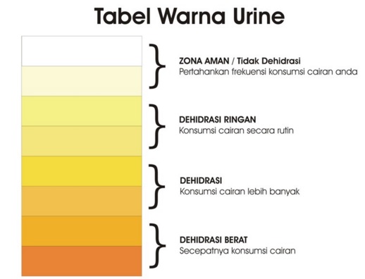 SFN NETWORKS: PEMERIKSAAN PENETAPAN VOLUME URIN DAN WARNA URIN