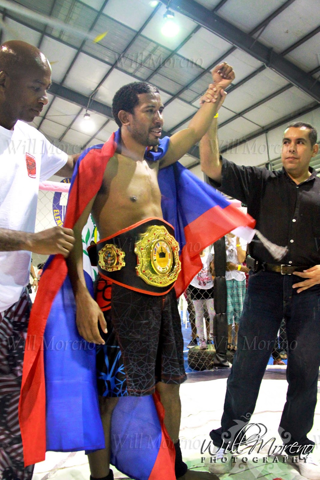 Platinum International Real Estate and Investments - Belize Division ...