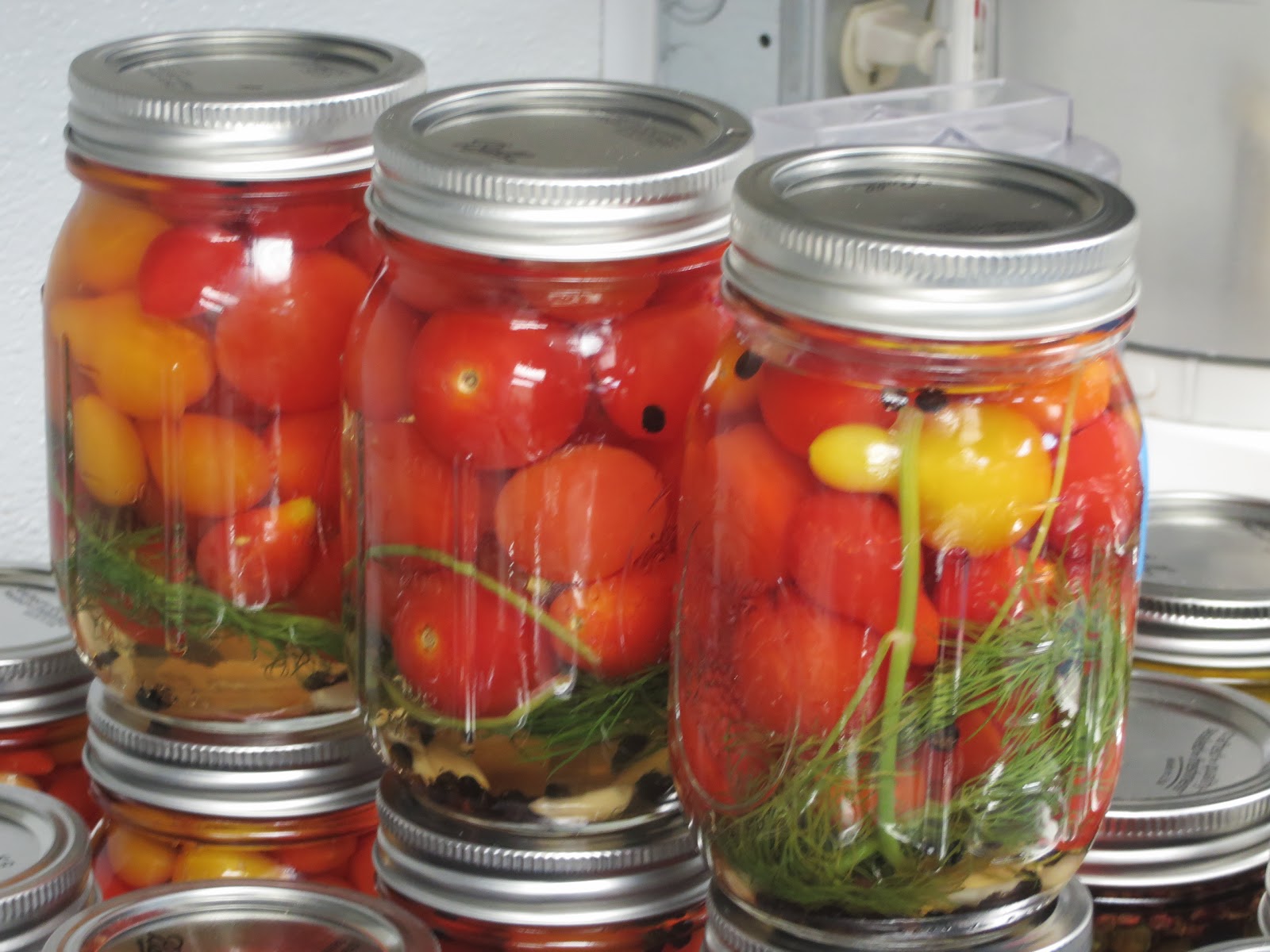 Ruth Talks Food: Pickling Party with Mr. Pickles and Kristyne