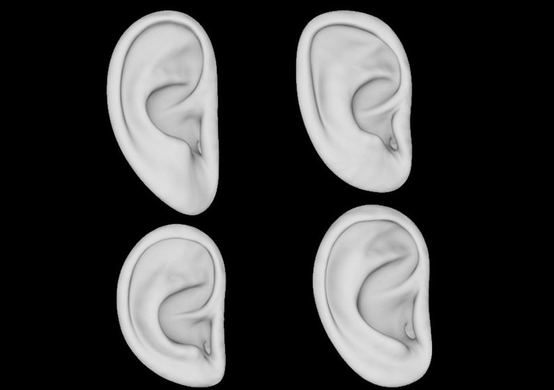 4 Ears 3D Models to Characters | Layth Jawad