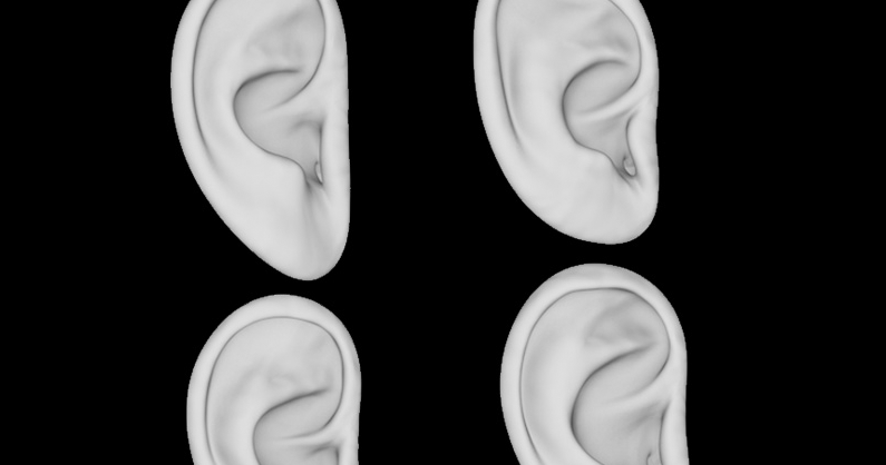 4 Ears 3D Models to Characters | Layth Jawad