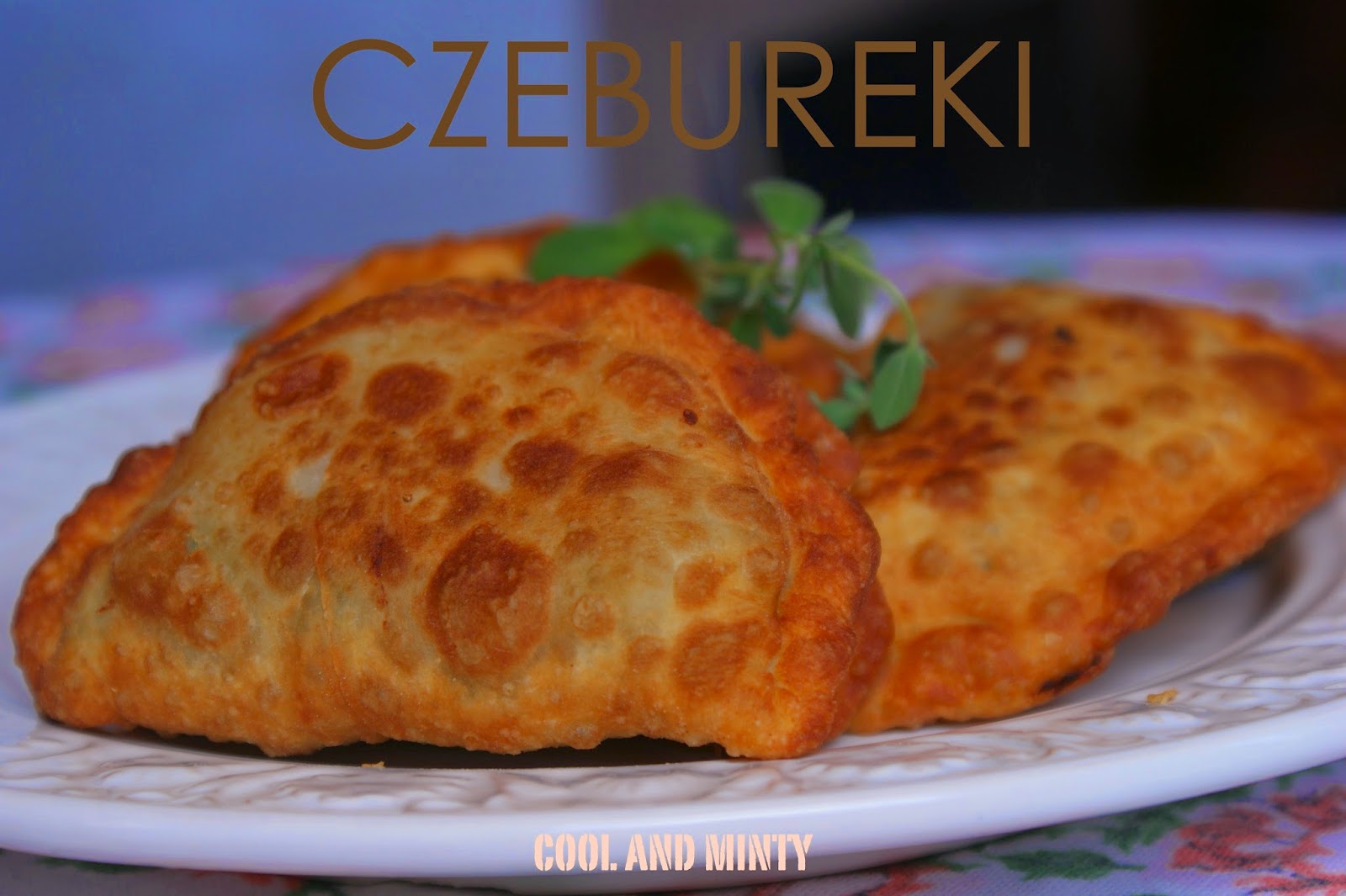 CZEBUREKI | COOL & MINTY