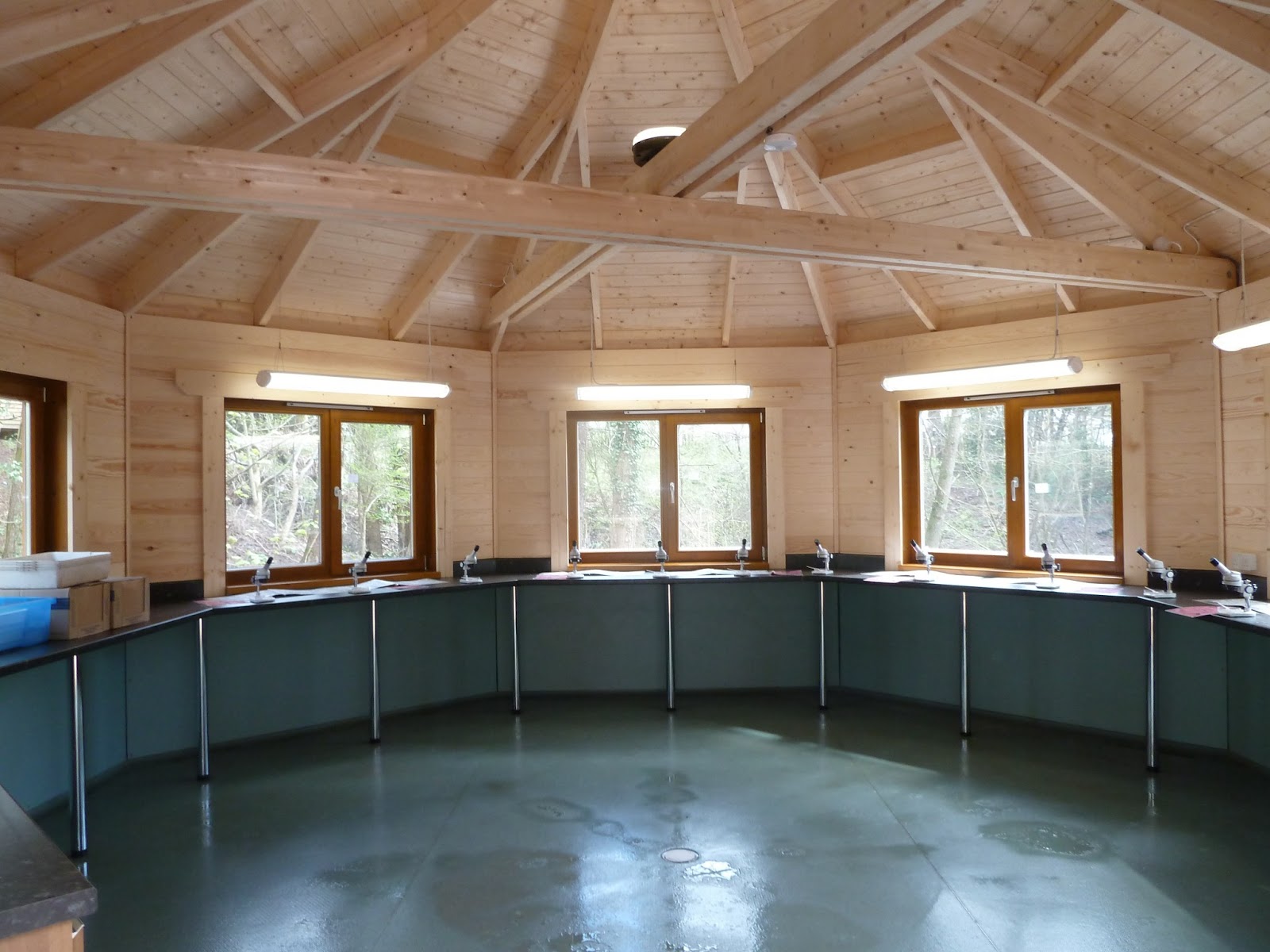 The Dean Field Studies Centre: April 2013