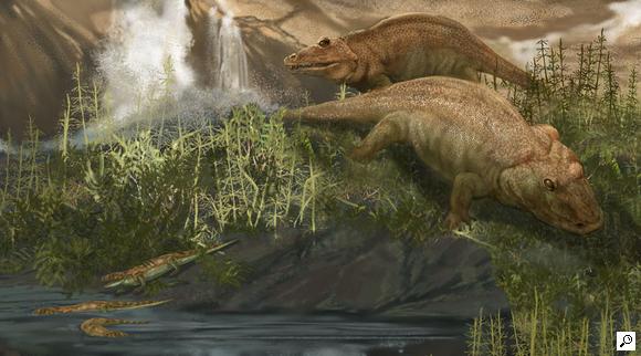 Dinosaur evolution: DIPLOCAULUS