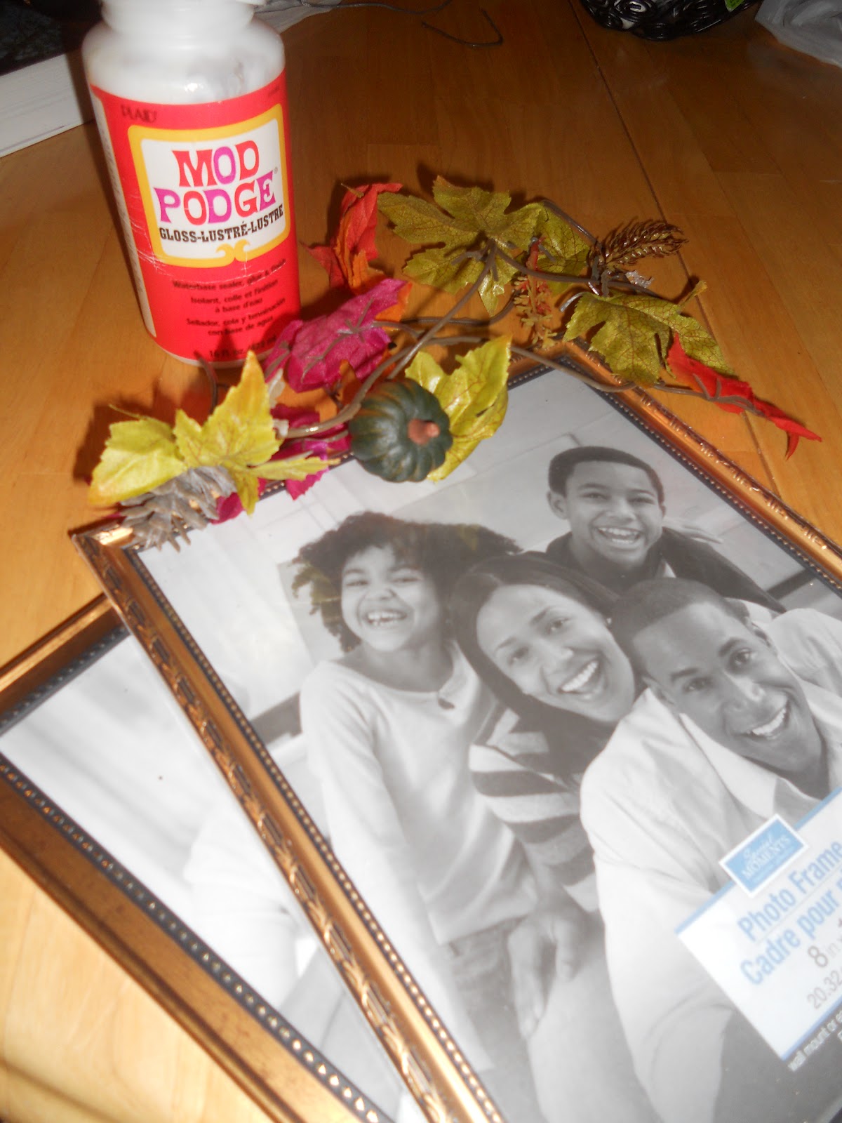 Is That Chocolate or Poop?: Dollar Tree Autumn Decoration