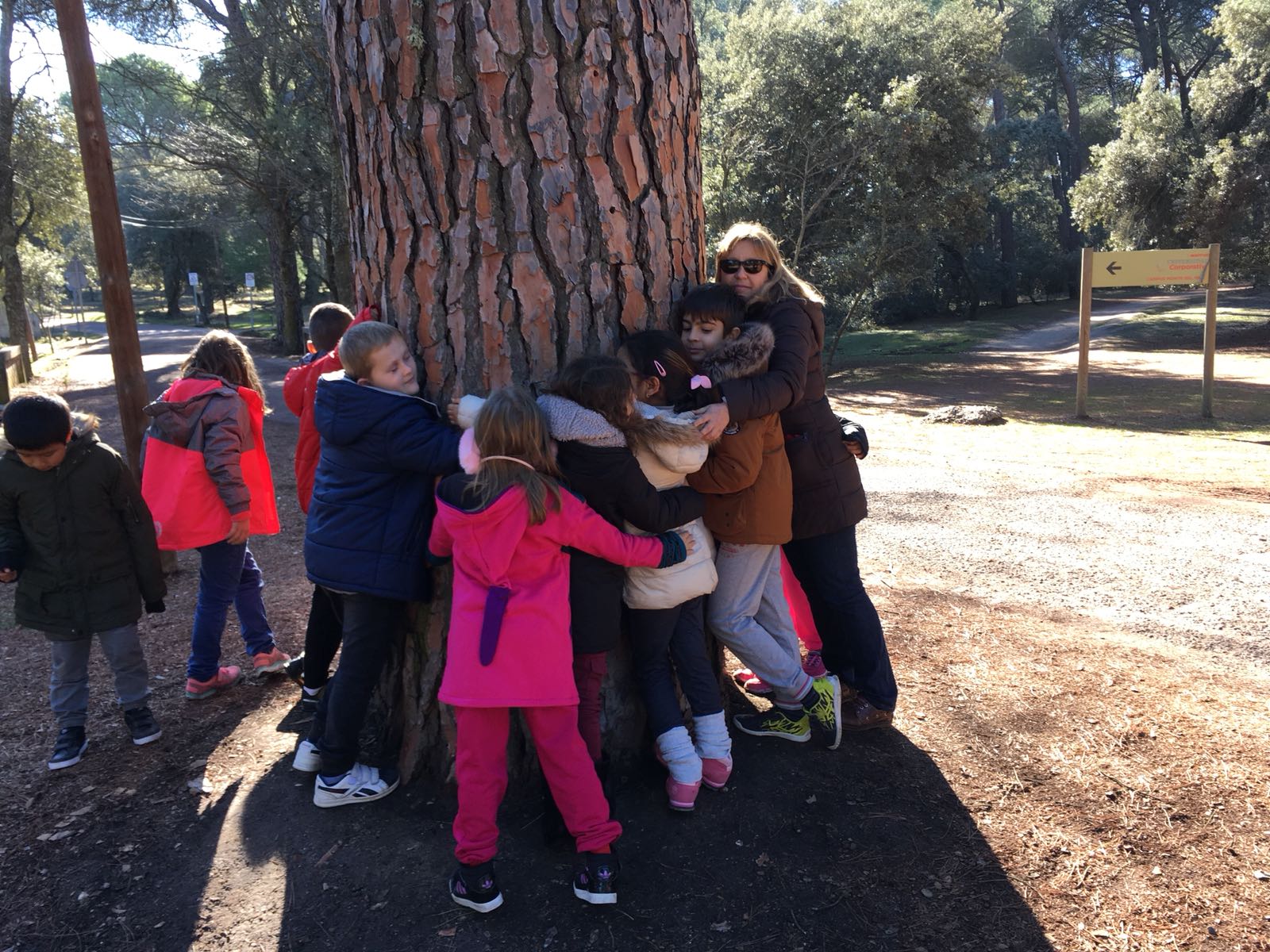 PACIENCIA INFINITA: VISITA A GREFA