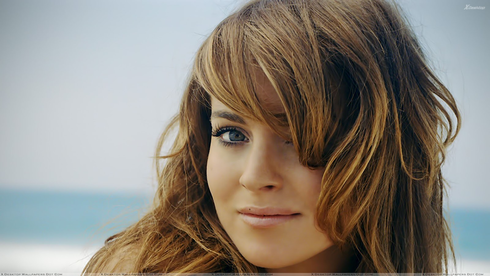 Wallpaperstopick Lindsay Lohan