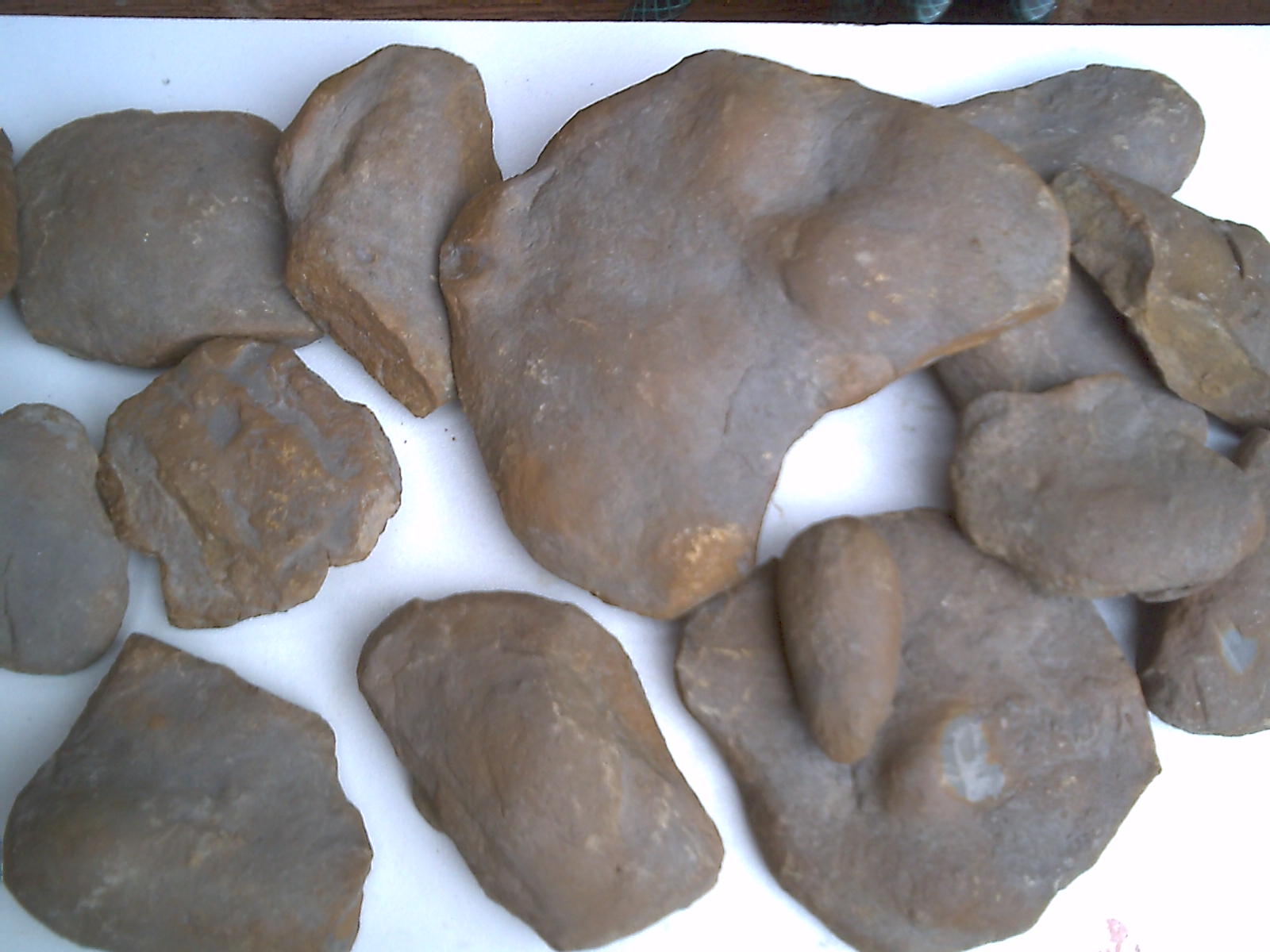HISTORY OF A BECK: Calcareous nodules found in isolated blue clay deposit