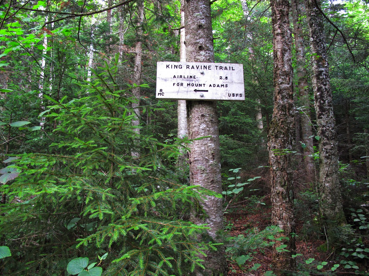 White Mountain Sojourn: 7-26-14 Mt. Adams, King Ravine