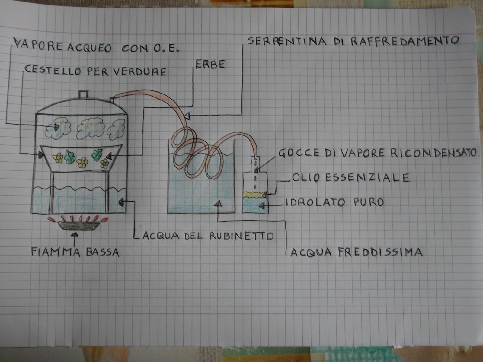 Magica Natura: La distillazione in corrente di vapore