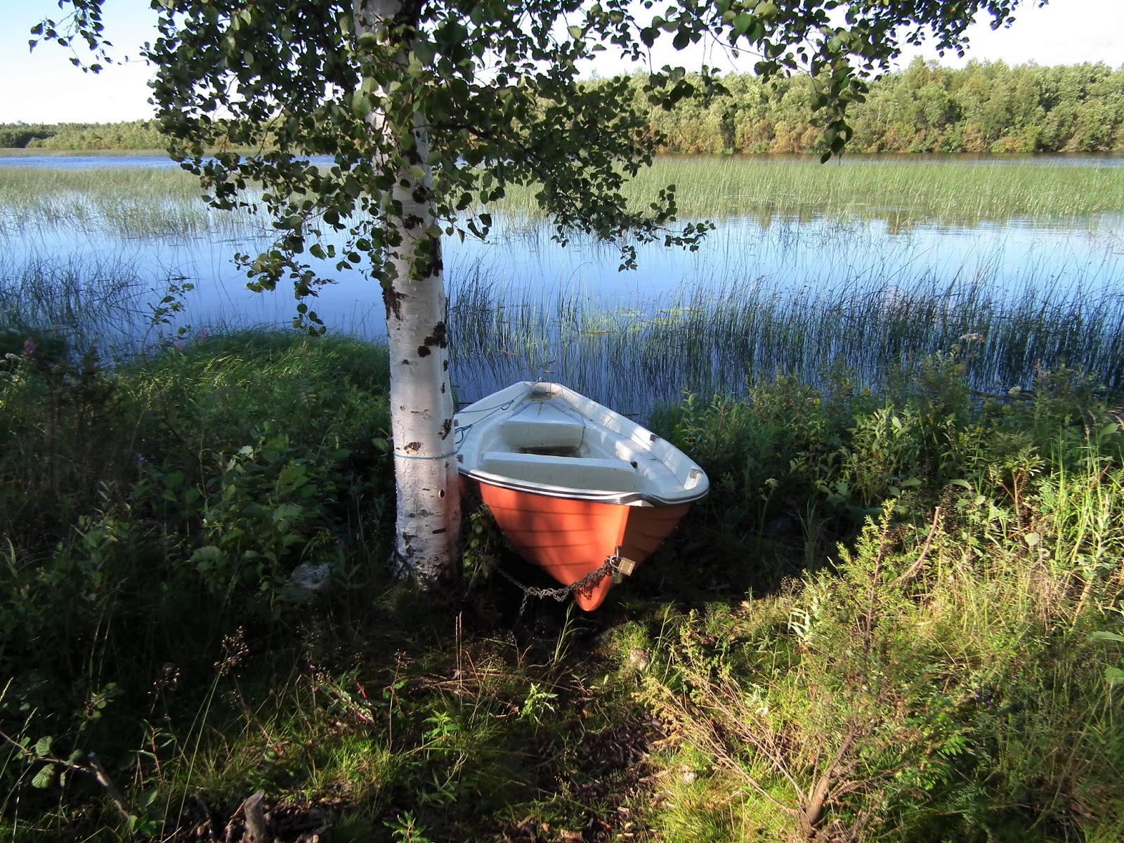 Plaza de mustis: ORANSSI