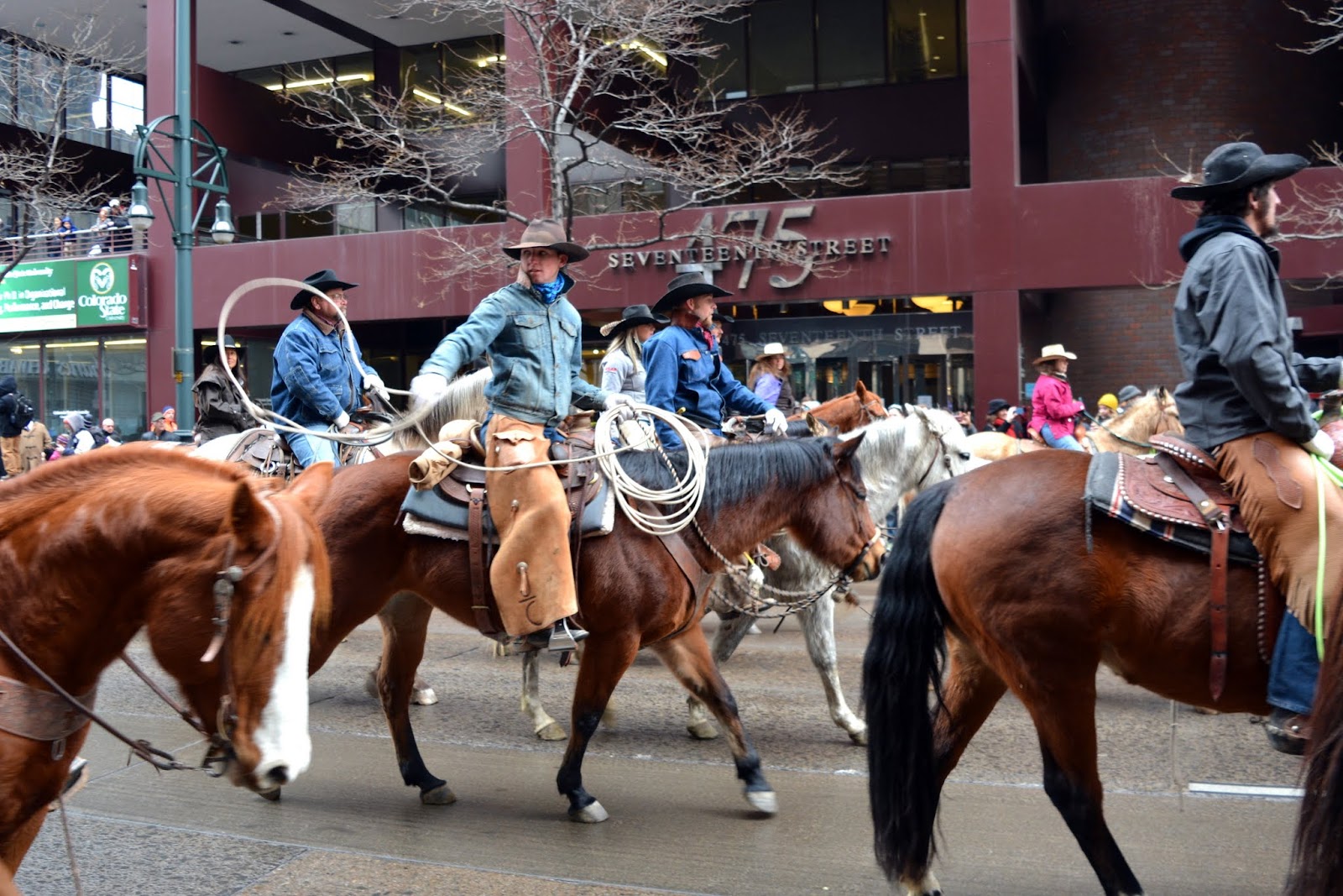 Mille Fiori Favoriti: The 110th Denver National Western Stock Show Parade!