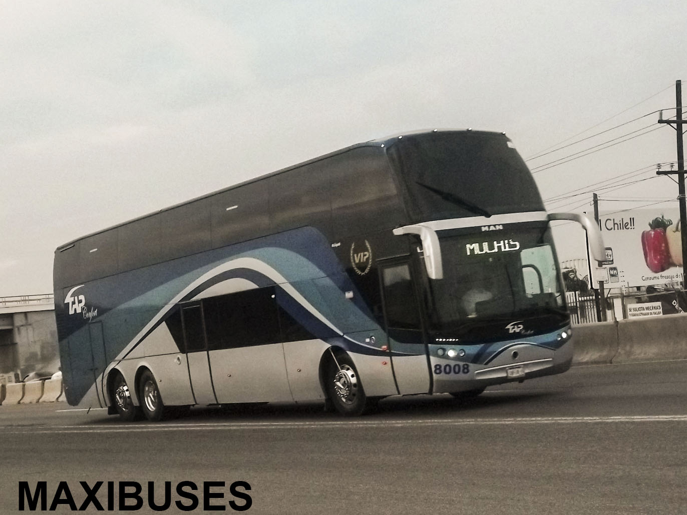 MAXIBUSES: TRANSPORTES Y AUTOBUSES DEL PACÍFICO, CONFORT (TAP CONFORT VIP)