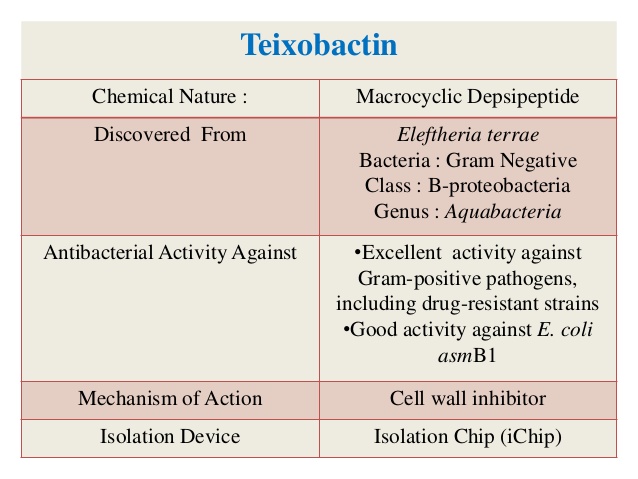 New antibiotic - Texiobactin