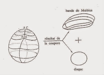 La Clínica Psicoanalítica: La ley del cunnus y sus avatares metonímicos