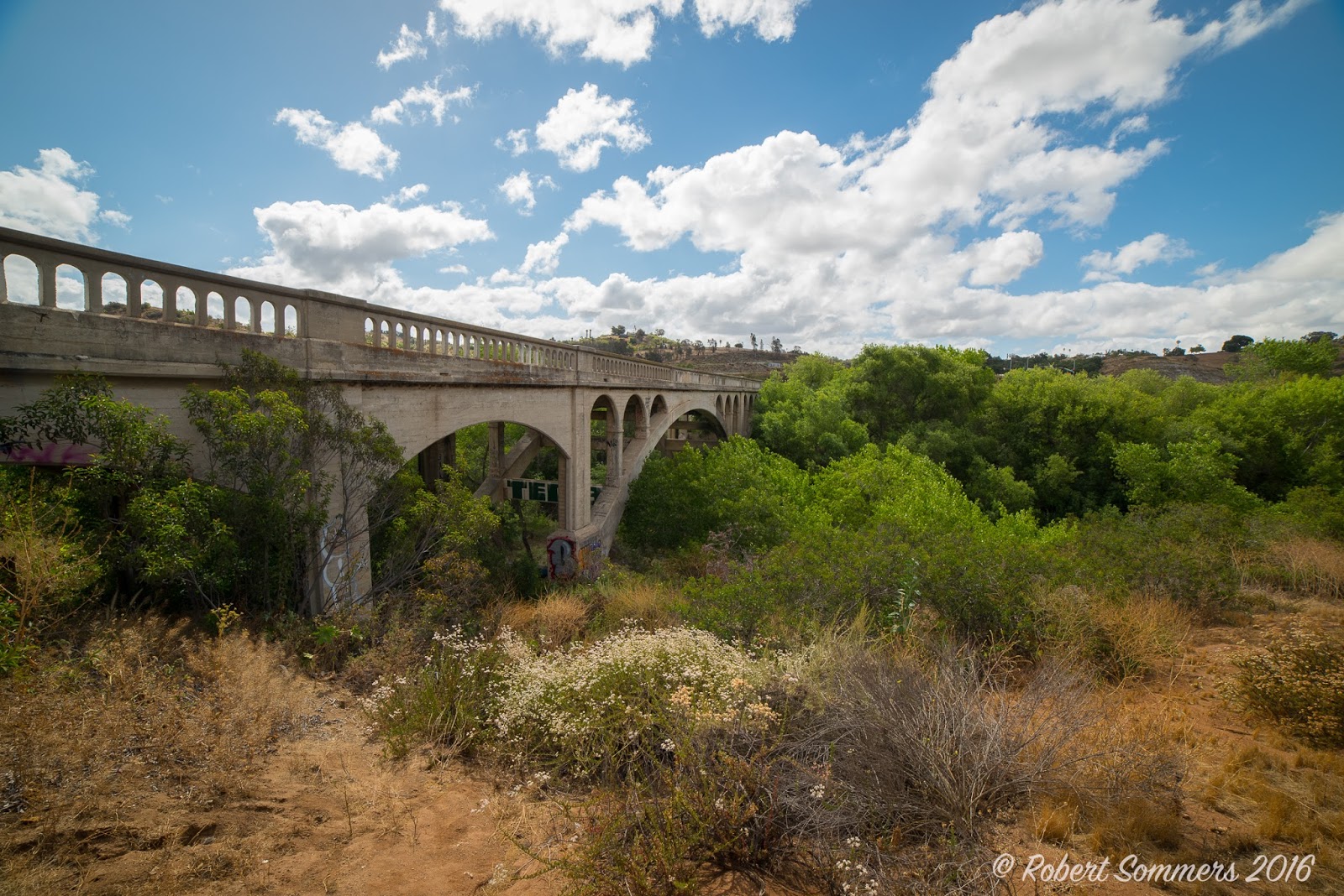 Blue Heron Blast: Old Bonsall Bridge