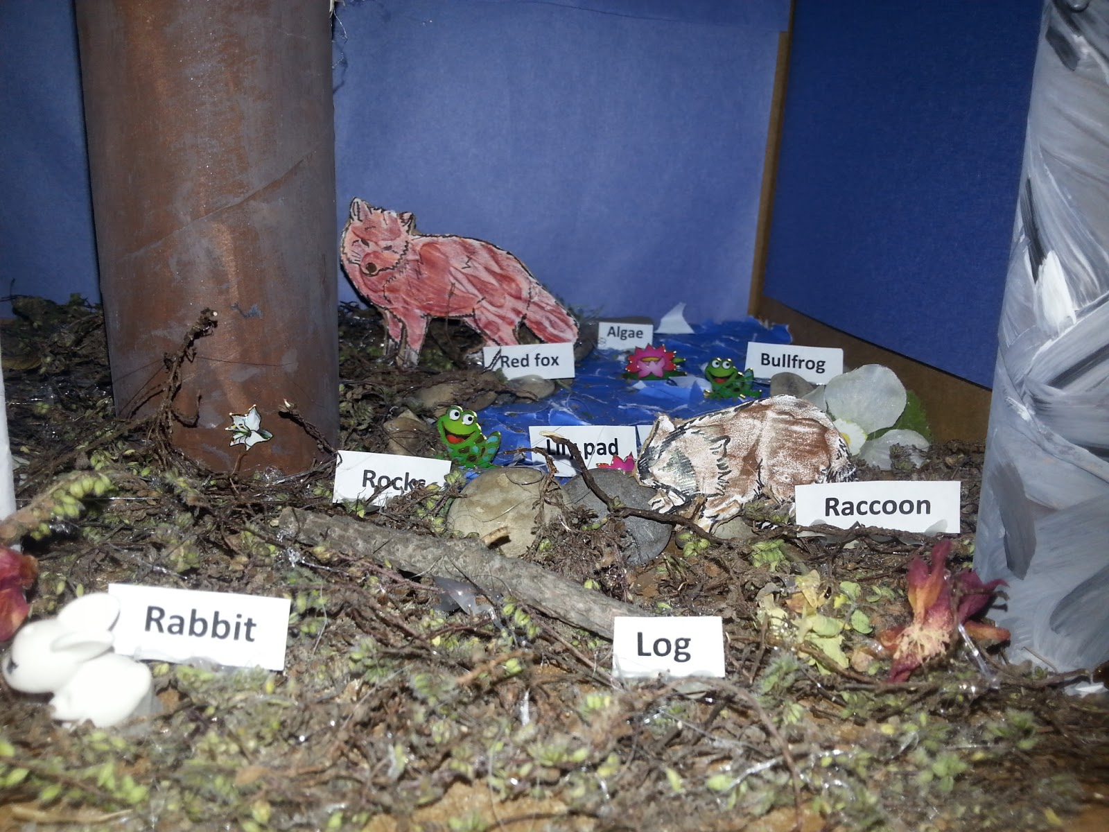 a faithful attempt: Science Habitat Dioramas- Forest Towers