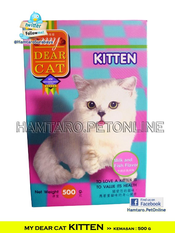 Hamster Dan Kucing Persia Murah Surabaya: MAKANAN KUCING