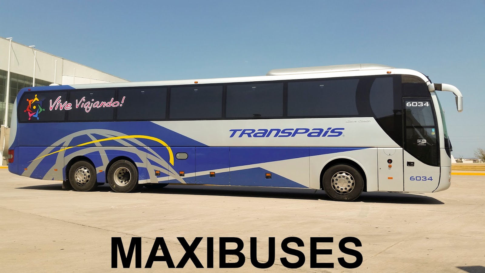 MAXIBUSES: TRANSPAÍS TURISMO (TURISMO)