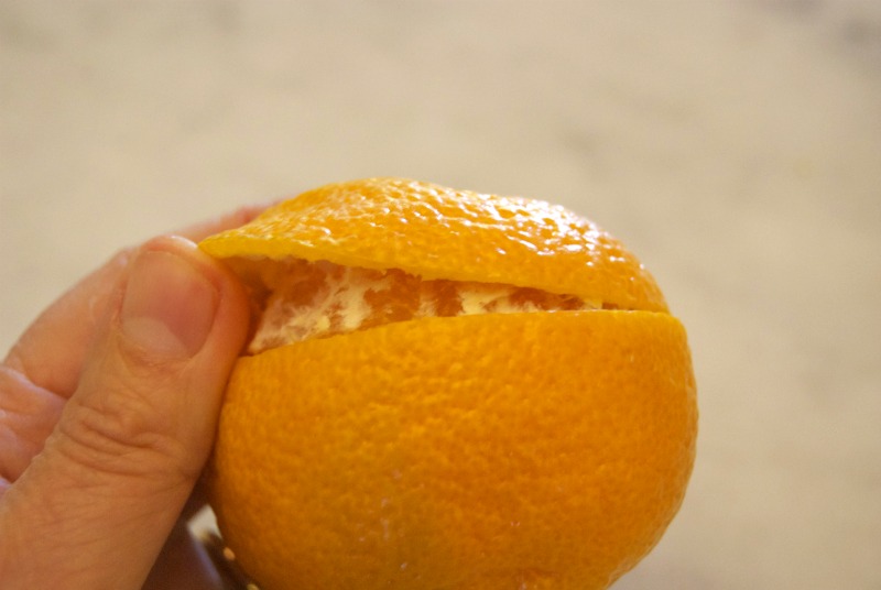 unschool plus: satsuma lamp