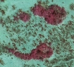 dominoc925: Create a Colored Infra Red (CIR) image from a multi-channel ...