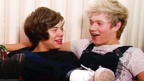 TVDIRECTIONER: Momentos Narry