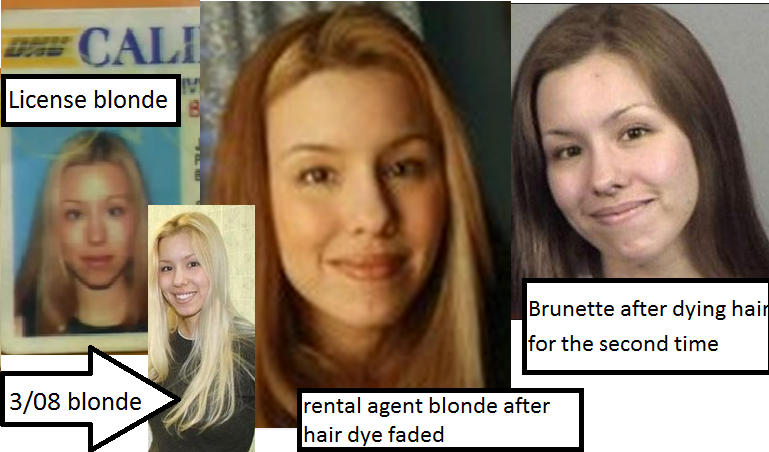 Jodi Arias Hair