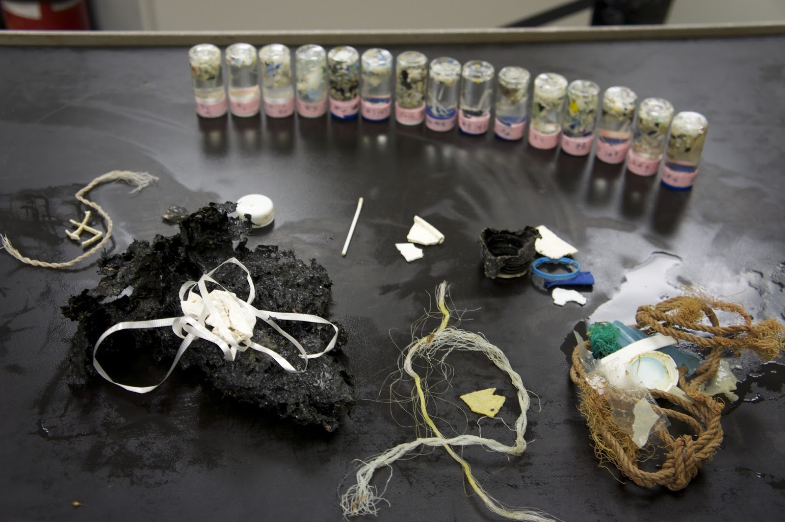 The Plastic Ocean Project: North Atlantic Research with Help From a 12 ...