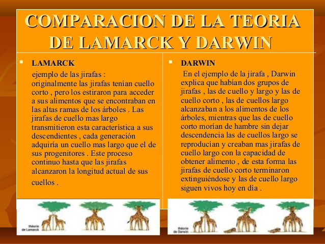 Diferencias entre las teorias de Darwin y Lamarck