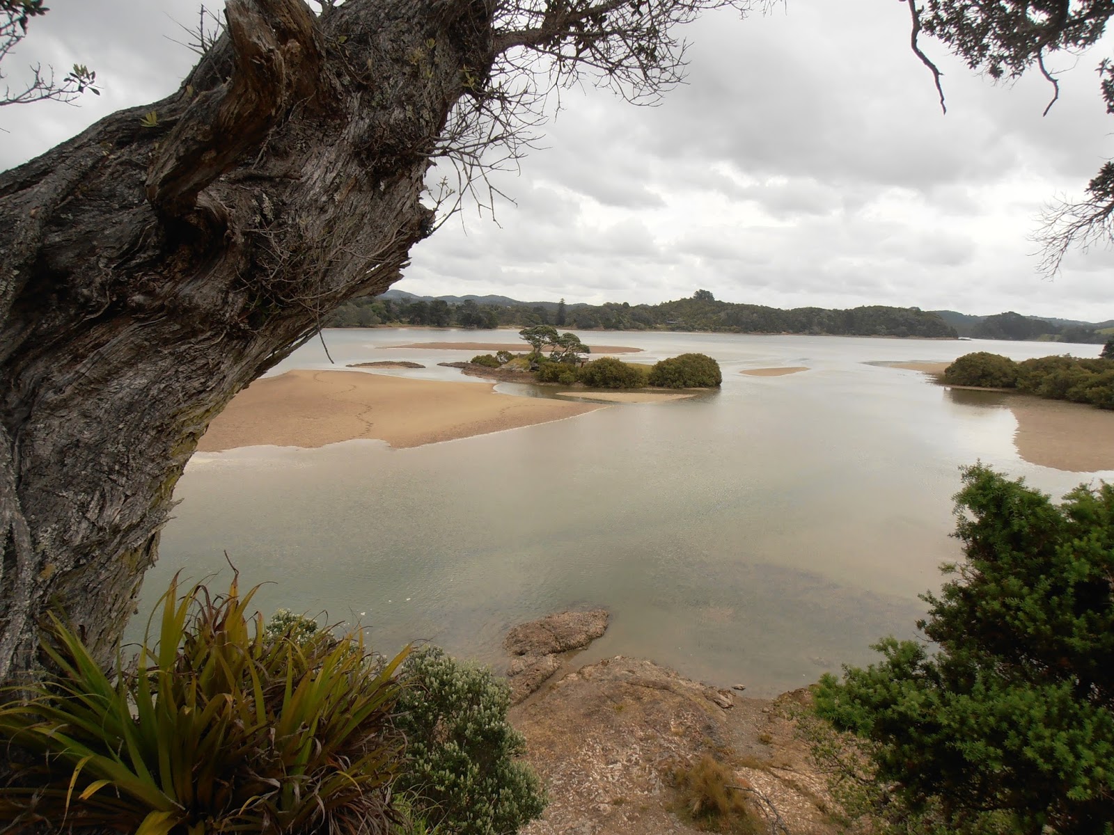 Our New Zealand Gypsy Travel Life: 11 November 2016 - Ngunguru Hall ...