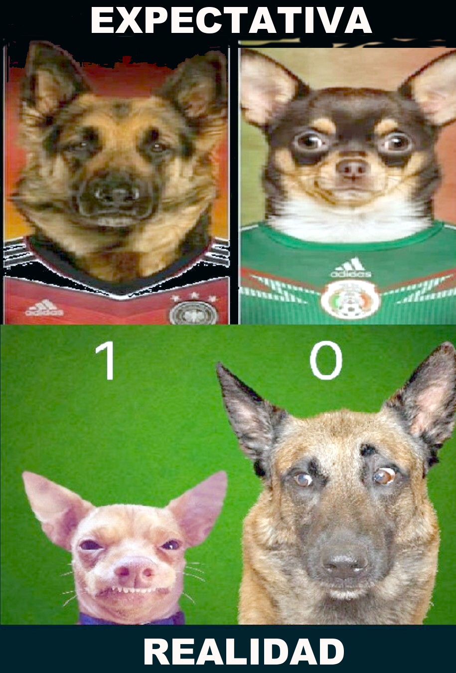 Humor semanal Liga MX - Los mejores memes y caricaturas | Blog de palma2mex