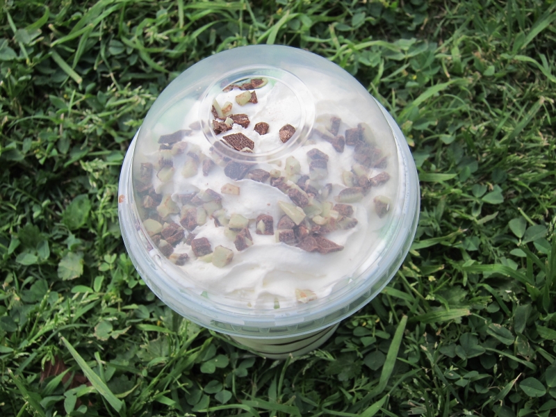 Review: Arby's - Mint Chocolate Swirl Shake