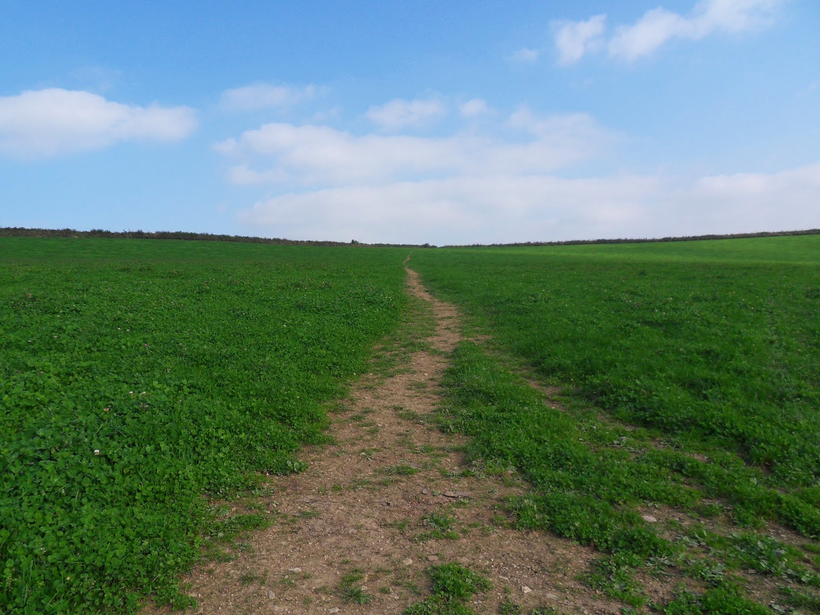 Mike's Cornwall: A Walk At Lerryn, Cornwall With River and Country ...