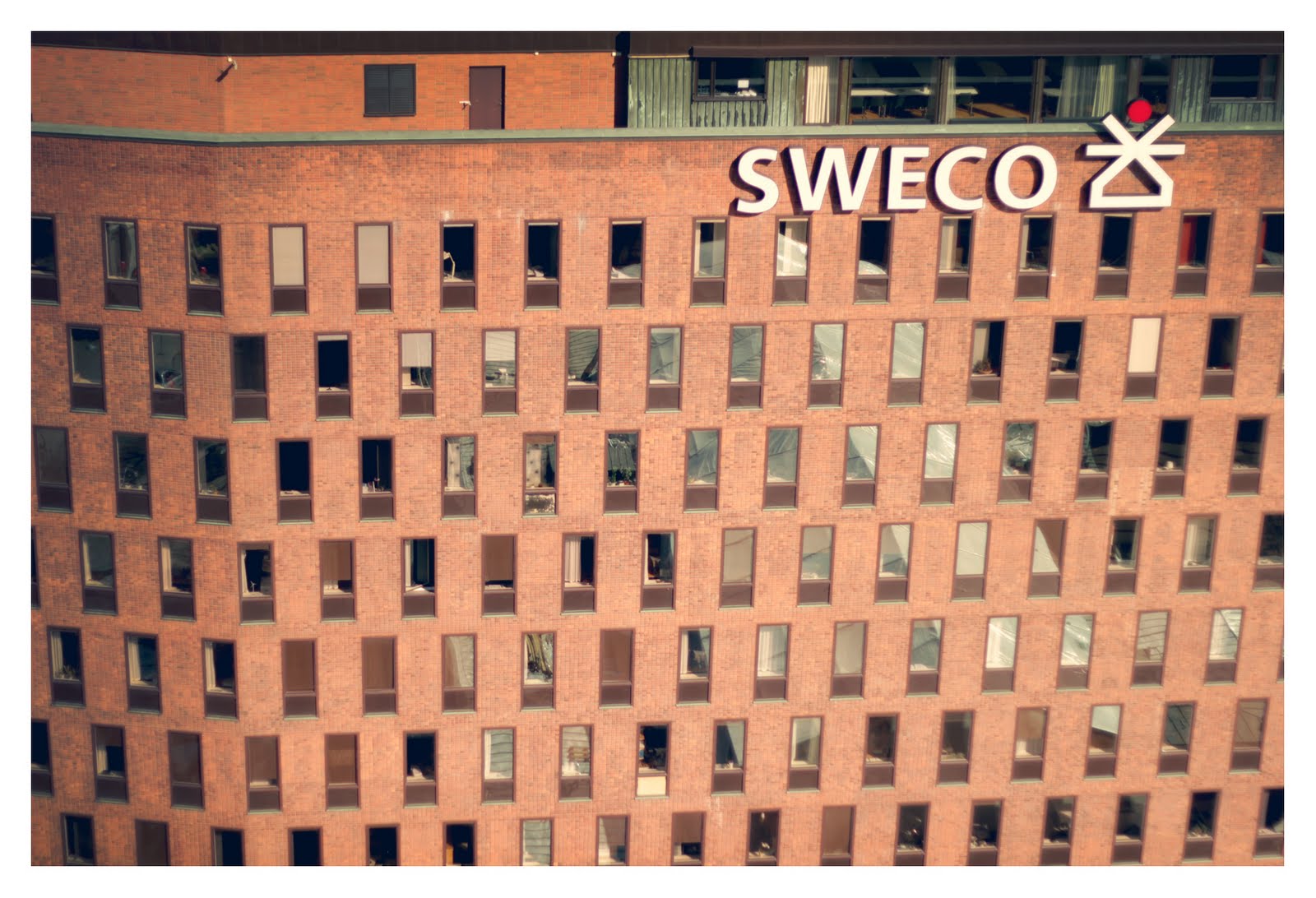 The last photograph in the world