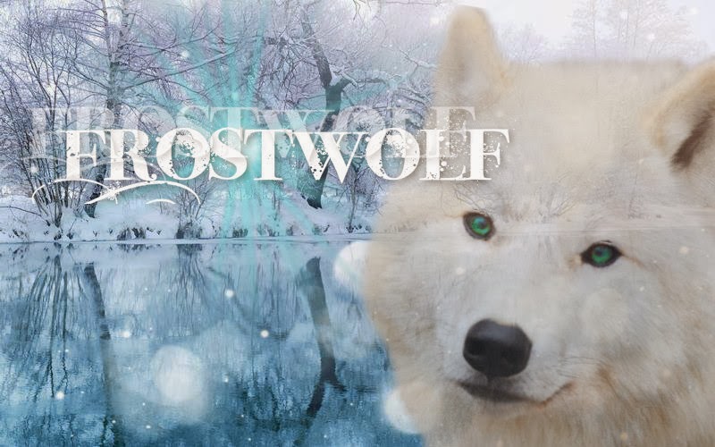 Draw Something 2 FrostWolf Style : About Me!