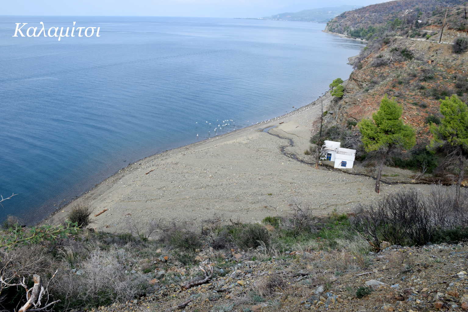 Η Λίμνη και οι φωτογραφίες μου: ΡΕΠΟΡΤΑΖ (Ενός κακού μύρια έπονται)