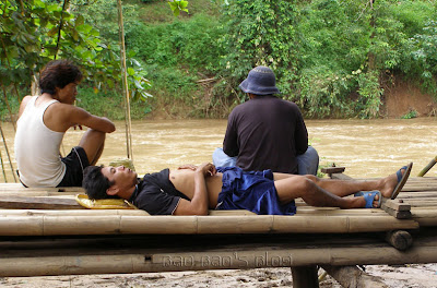 Bao-Bao's Blog: Sleeping, Part 12: Some Random Napping