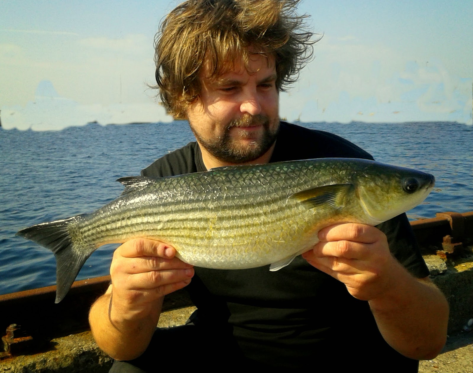 Tobbes fiske: Multe på kusten, sensommaren funkar...