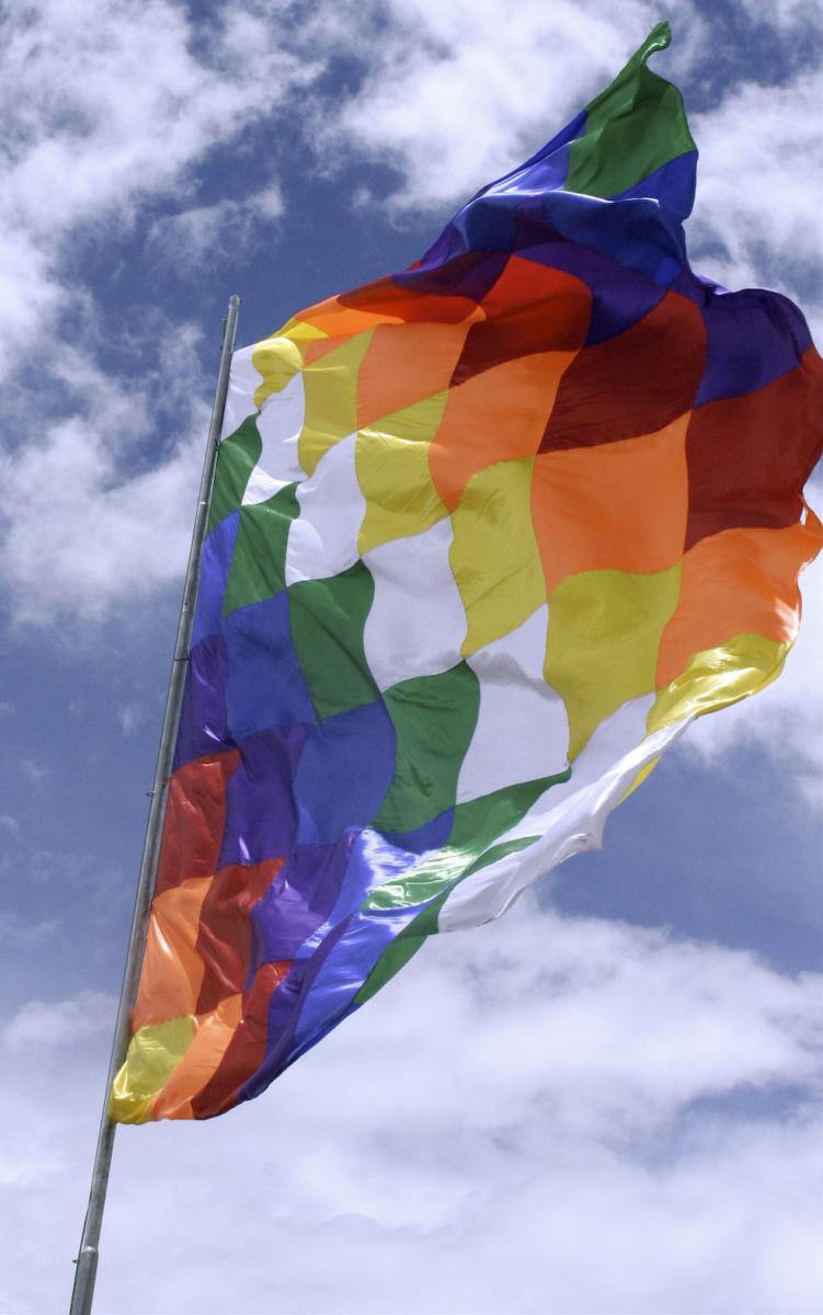 Official variant flag of Bolivia: The Wiphala, representing the native ...