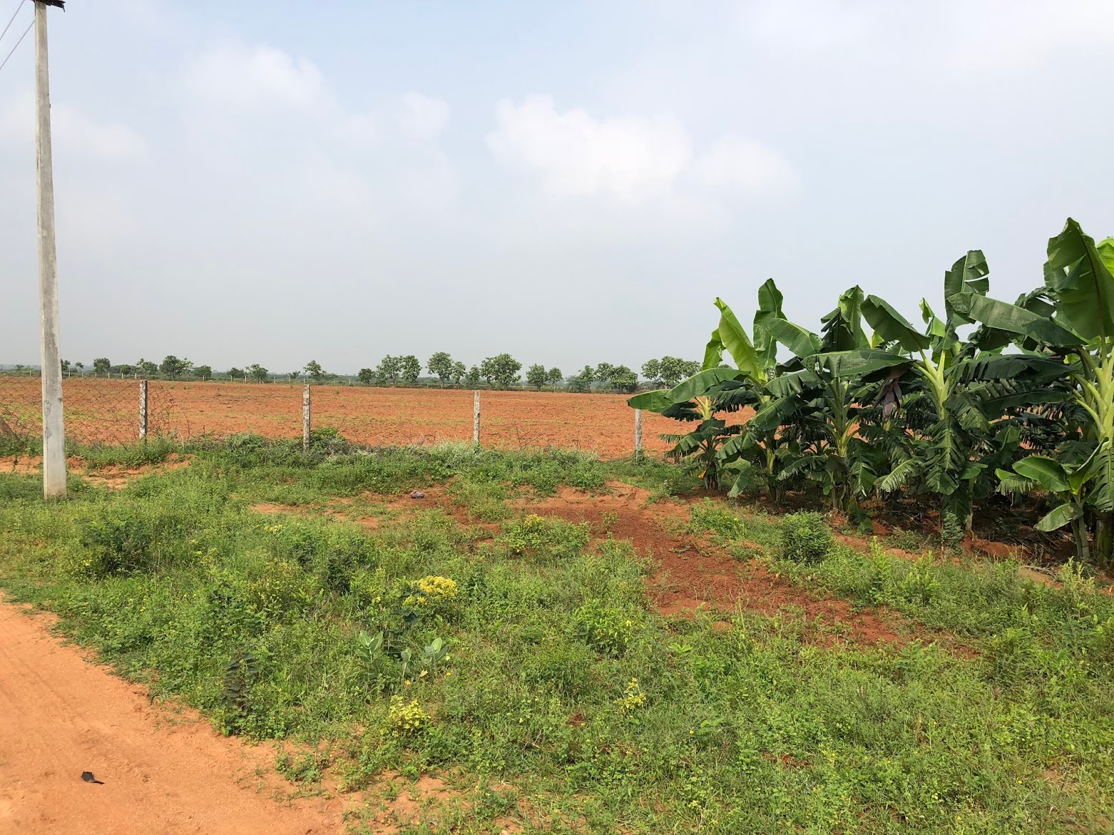 AGRI LANDS: 150 ACRES AGRI LAND FOR SALE WITH 10 FREE ELECTRICITY ...