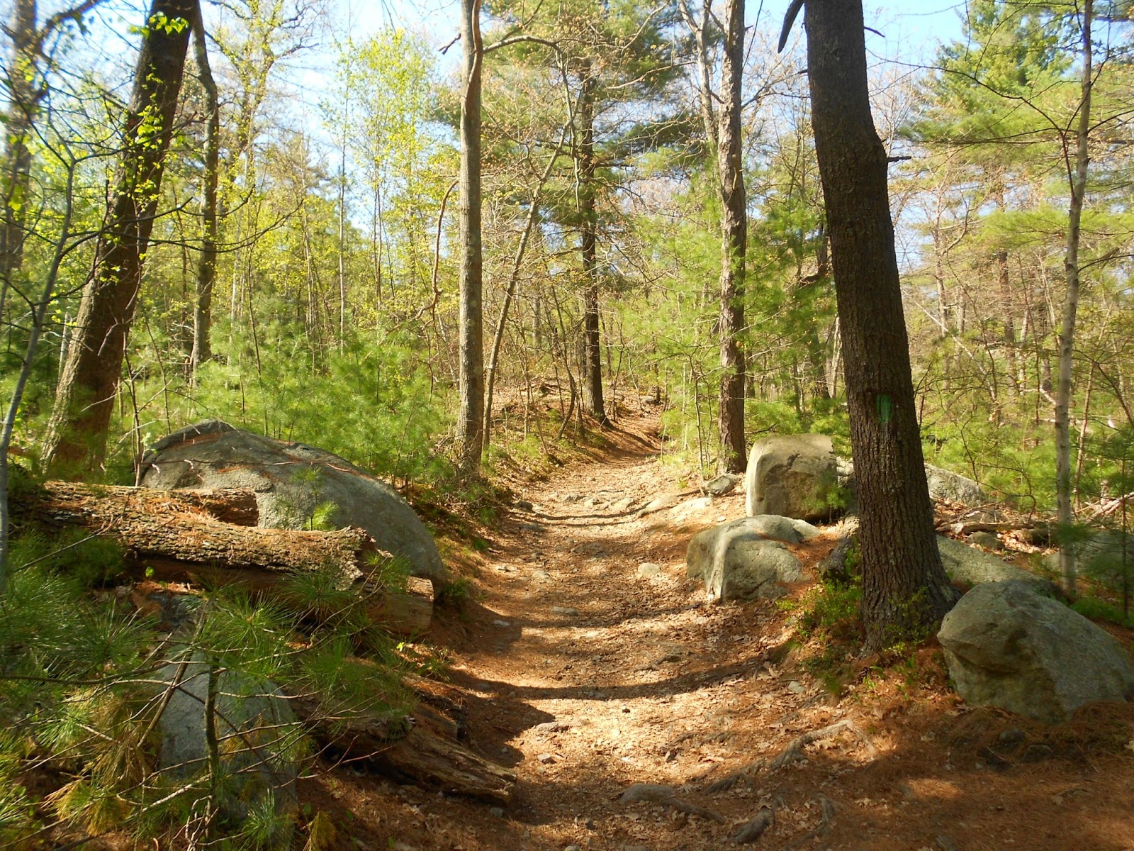 Breakheart Trail Running: May 2013